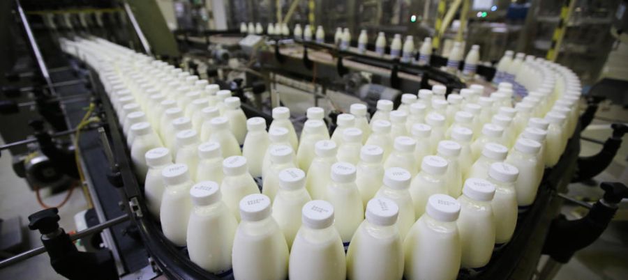 Se necesitan operarios para trabajar en una fábrica del sector lácteo ...