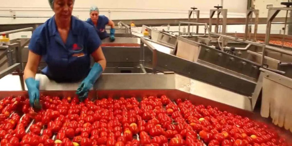 Cómo enviar tu currículum a Sugal Group por internet